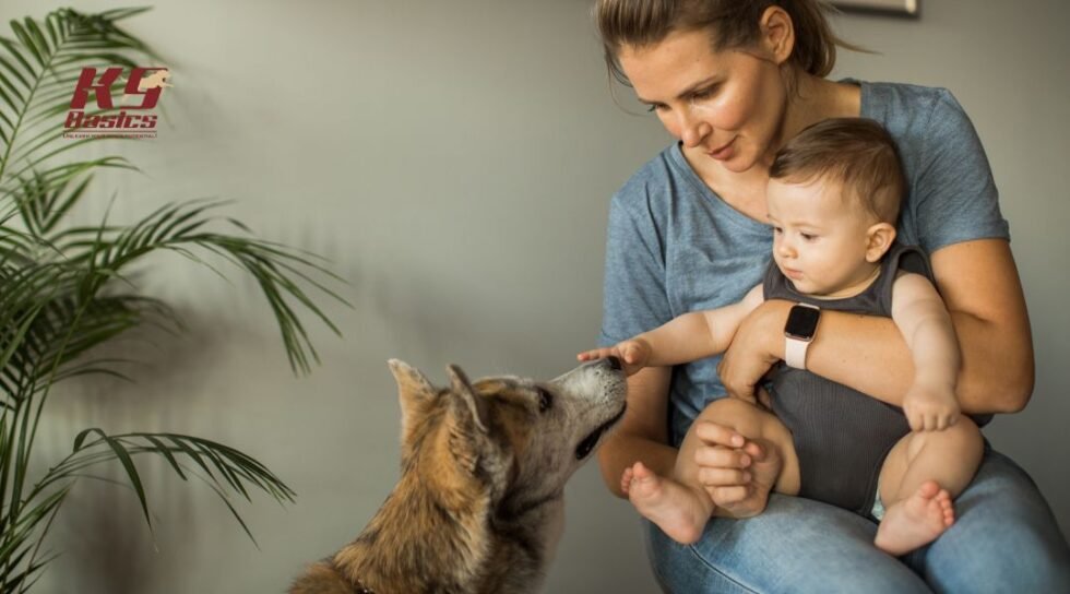 How to Prepare Your Dog for a New Baby | K9 Basics