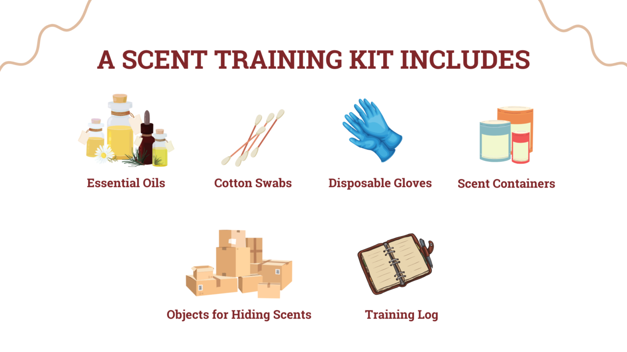 Scent Training for Dogs
