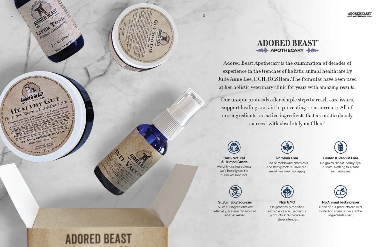 New Jersey Dog Training and Off-Leash Control - K9 Basics