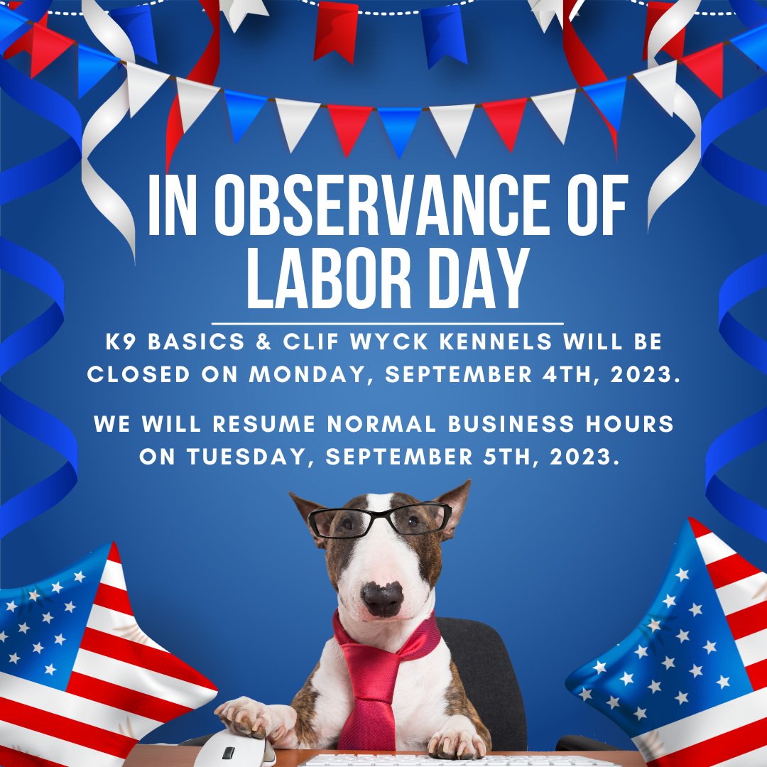 New Jersey Dog training and Off-Leash Control - K9 Basics