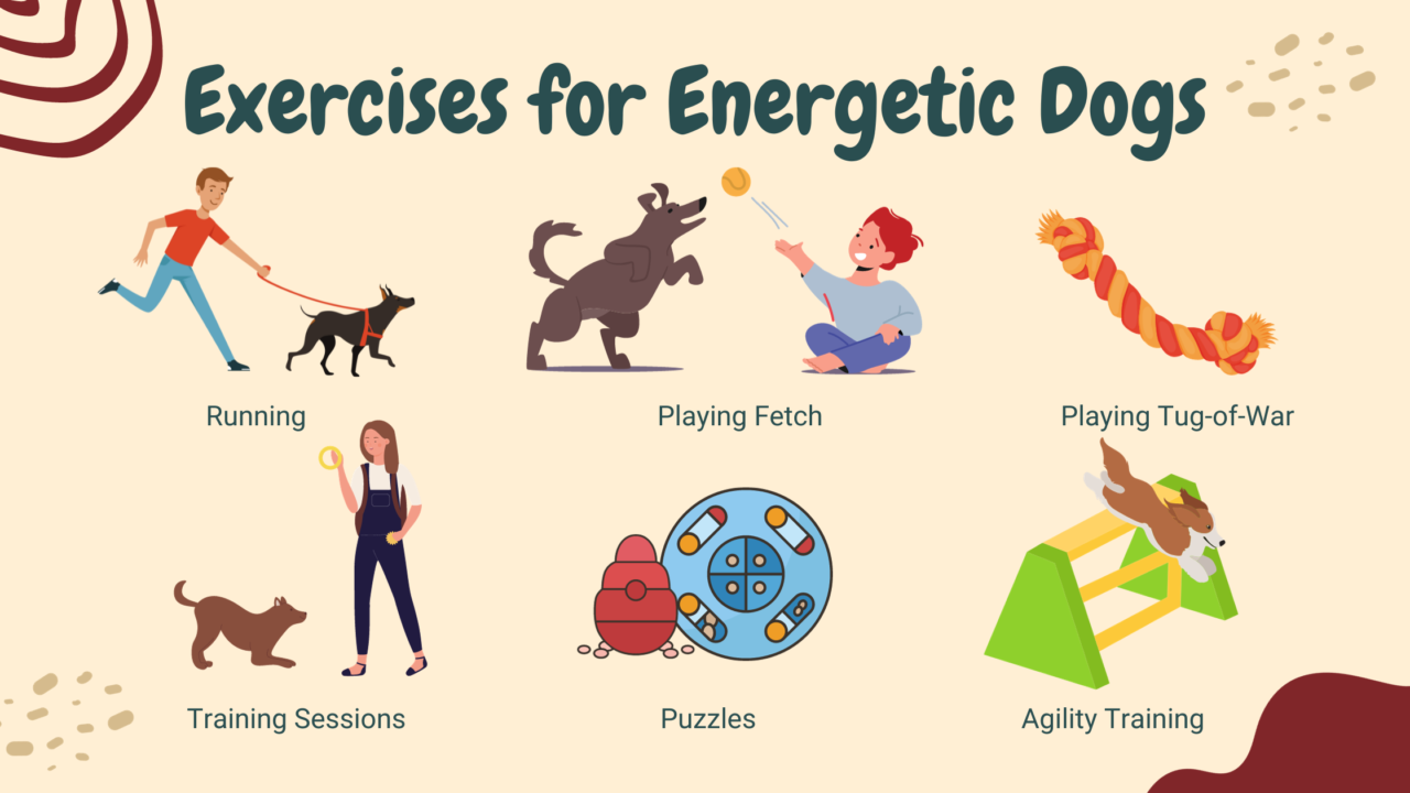 9 Ways to Calm a Sexually Excited Dog