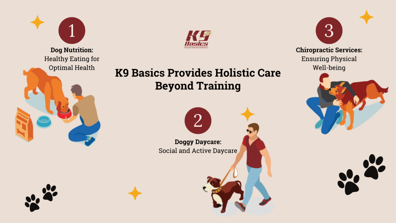 K9 Basics Is New Jersey's Premier Dog Training Facility