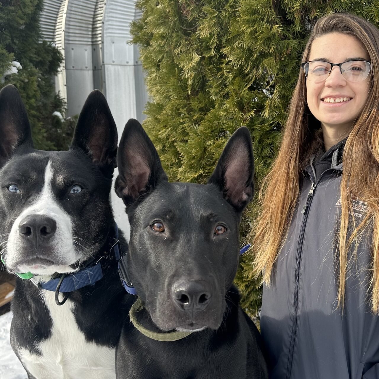 Brian Berg - Lisa Berg - Dog Trainers - K9 Basics