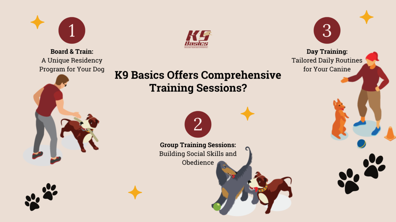 K9 Basics Is New Jersey's Premier Dog Training Facility