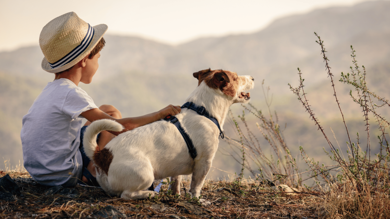 How to Train Dogs to Interact Safely with Children