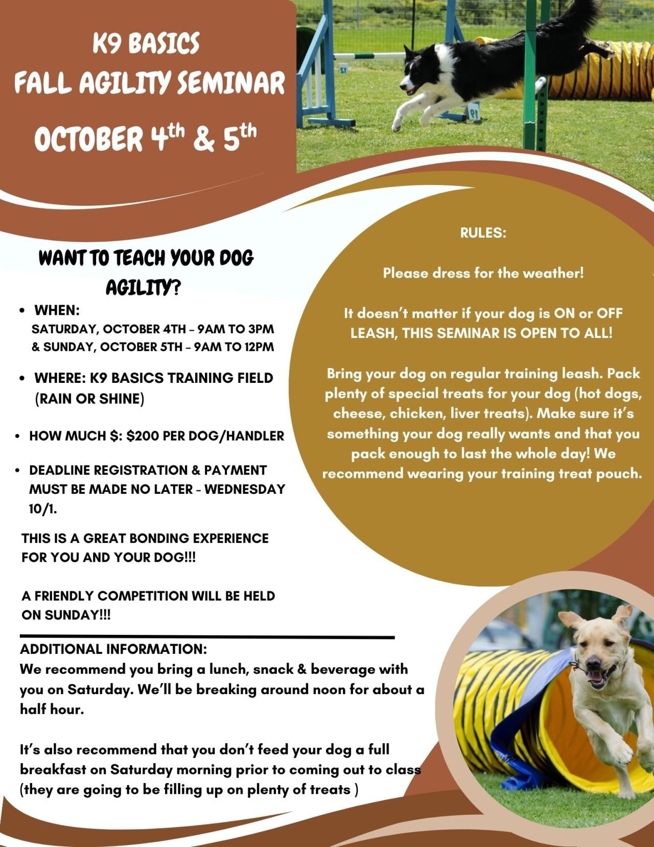 New Jersey Dog Training and Off-Leash Control - K9 Basics