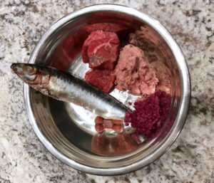 Adding Fish To Your Dog's Diet: What To Know - K9Basics