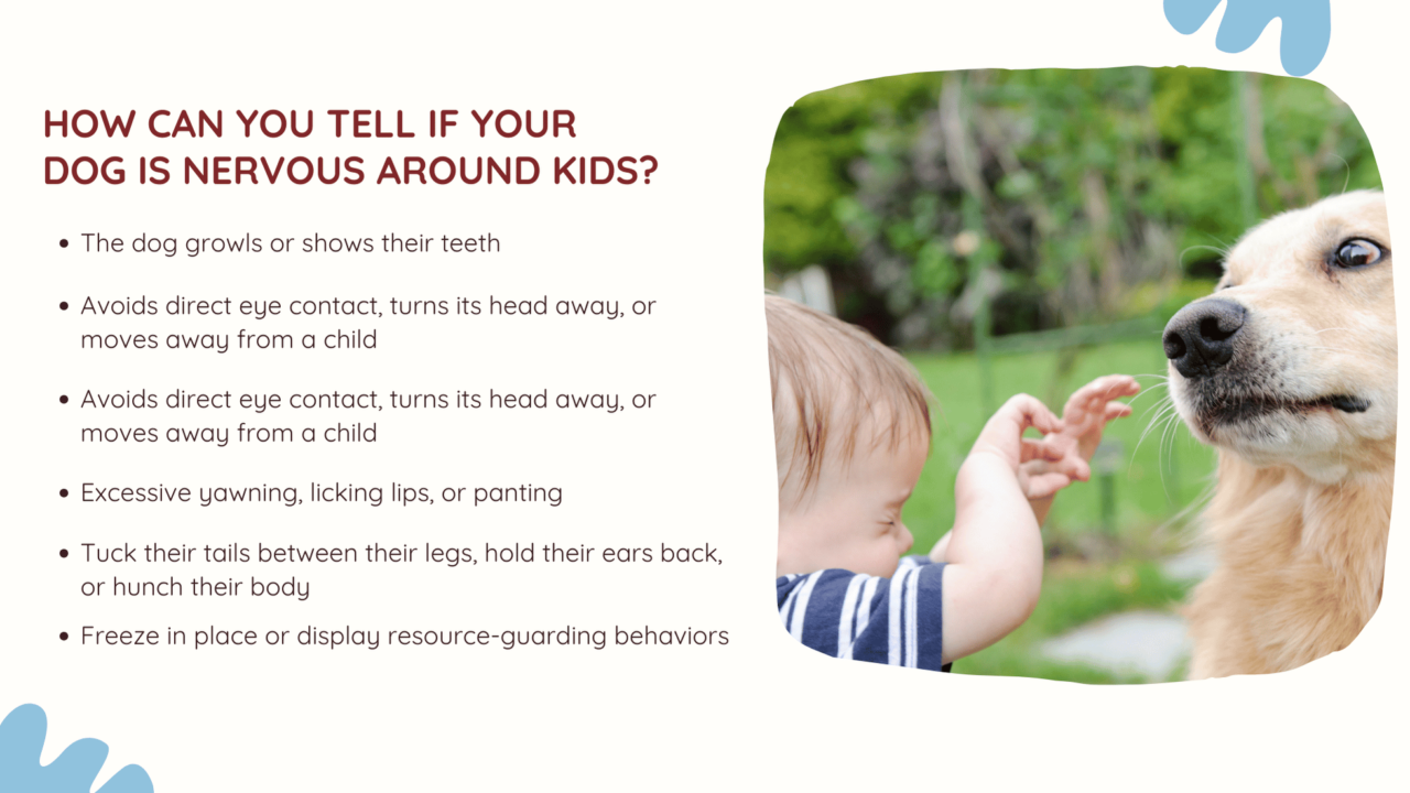 How to Train Dogs to Interact Safely with Children