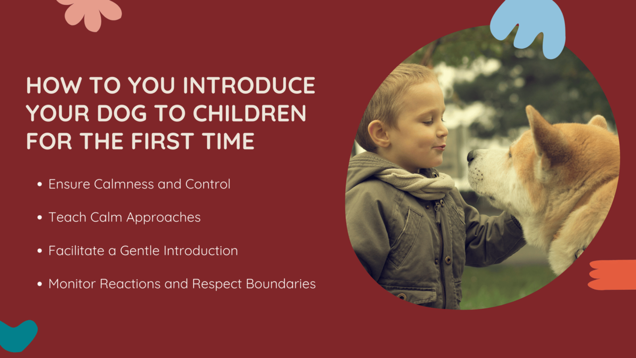 How to Train Dogs to Interact Safely with Children