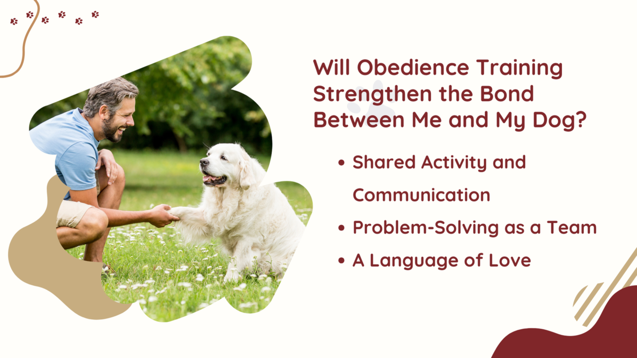 Dog Obedience Training in New Jersey